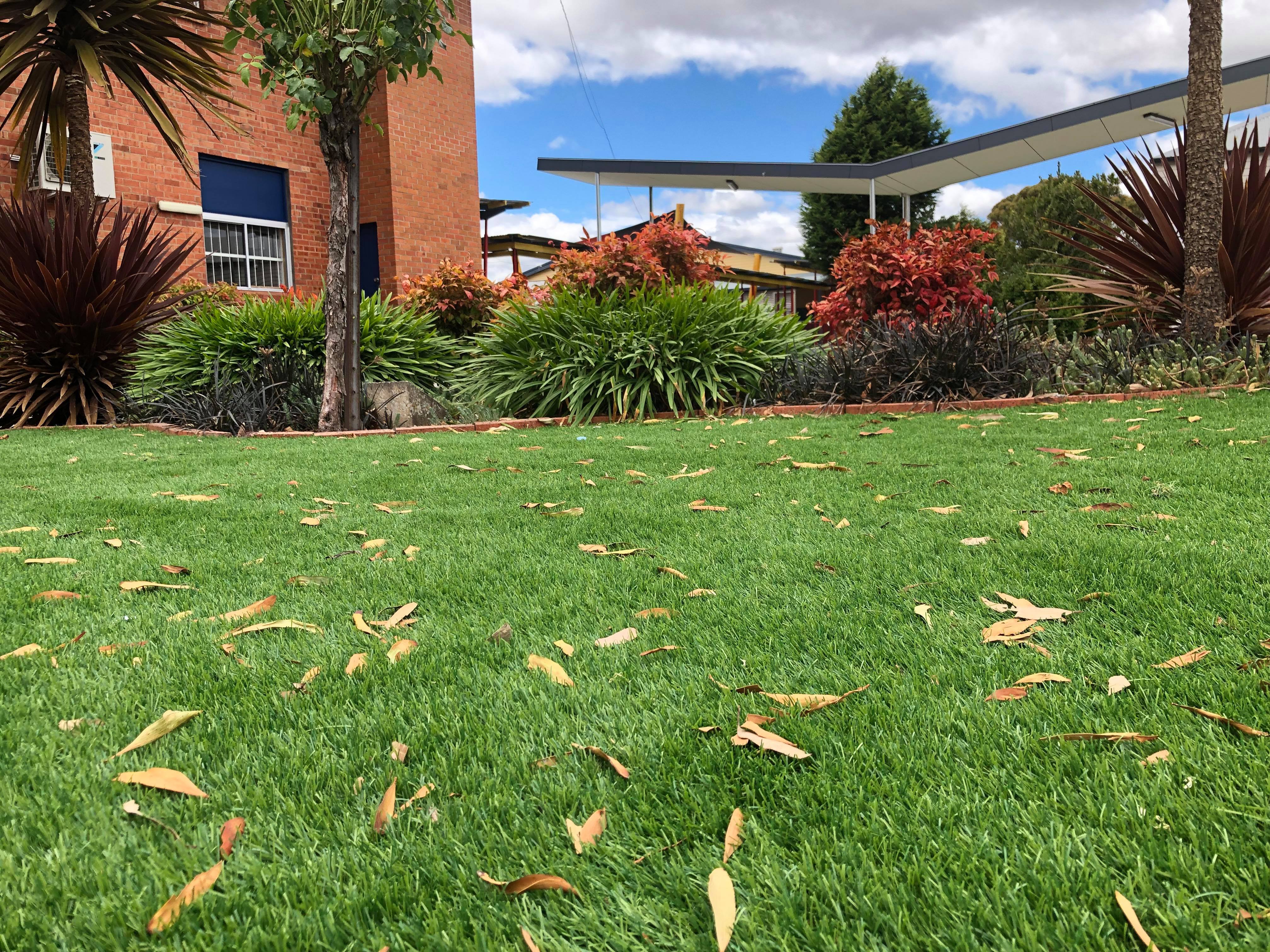 Artificial Grass from Island Block & Paving | Best Price Guarentee